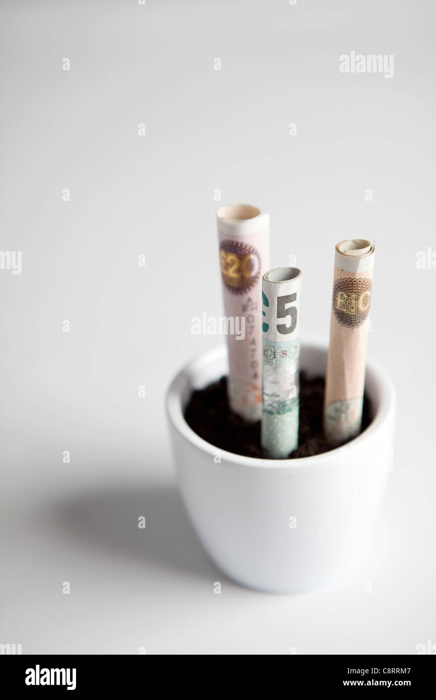 A plant pot holding money notes, to give a conceptual message about ...