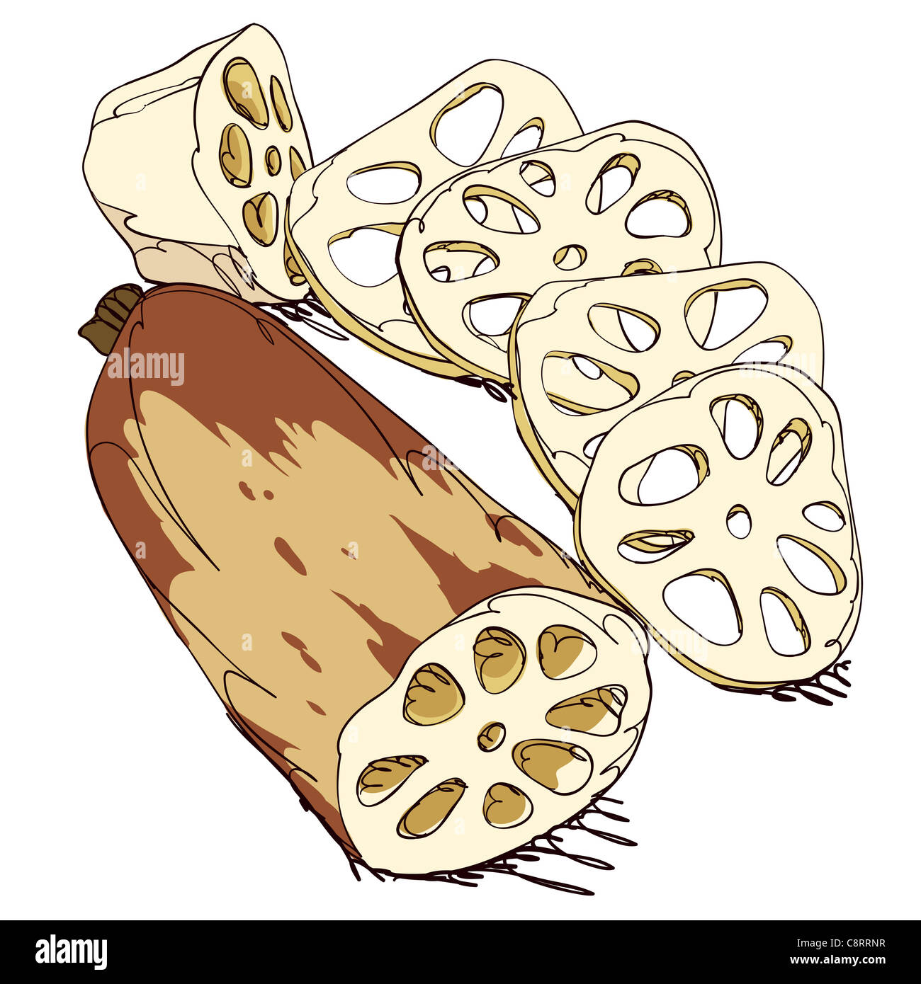 Lotus Root Cross Section High Resolution Stock Photography and Images ...