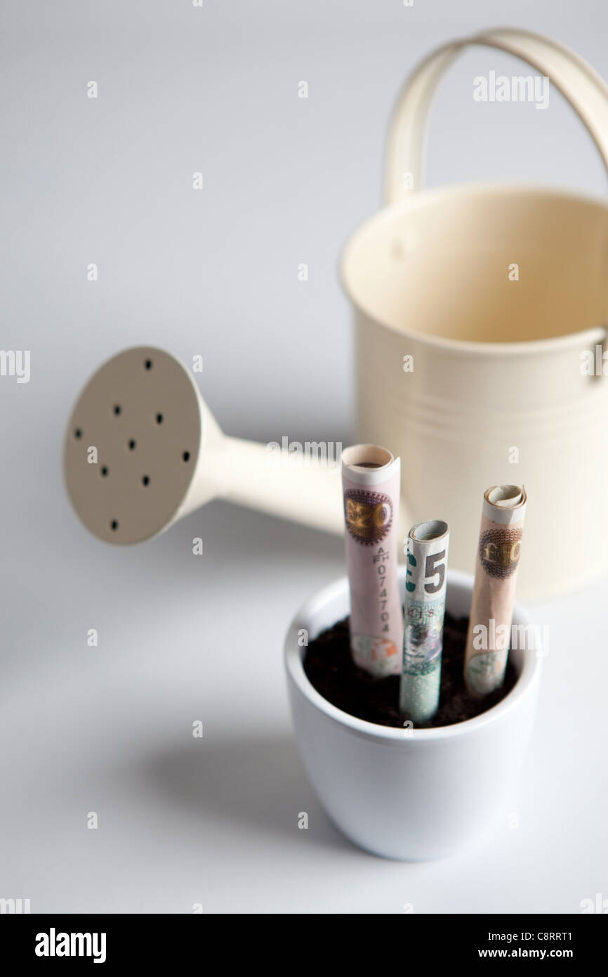 A plant pot holding money notes beside a watering can, to give a ...