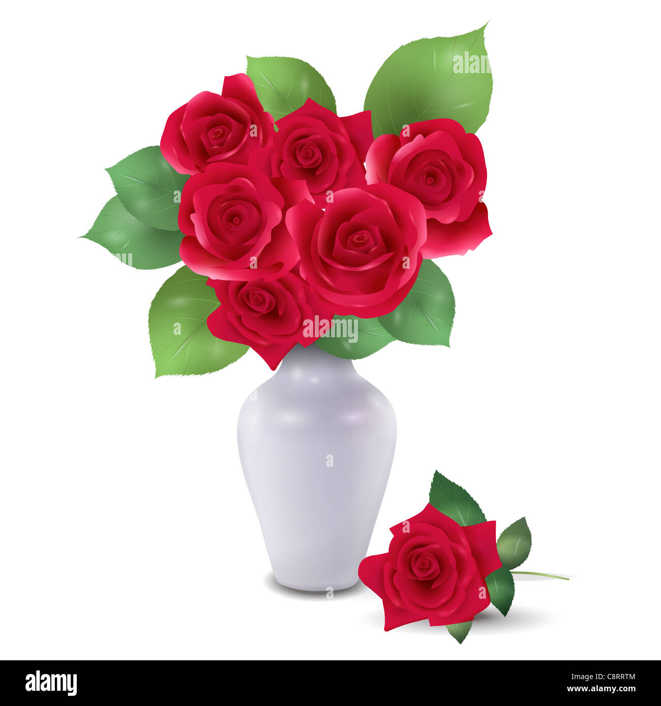 Color rose colour Cut Out Stock Images & Pictures - Alamy