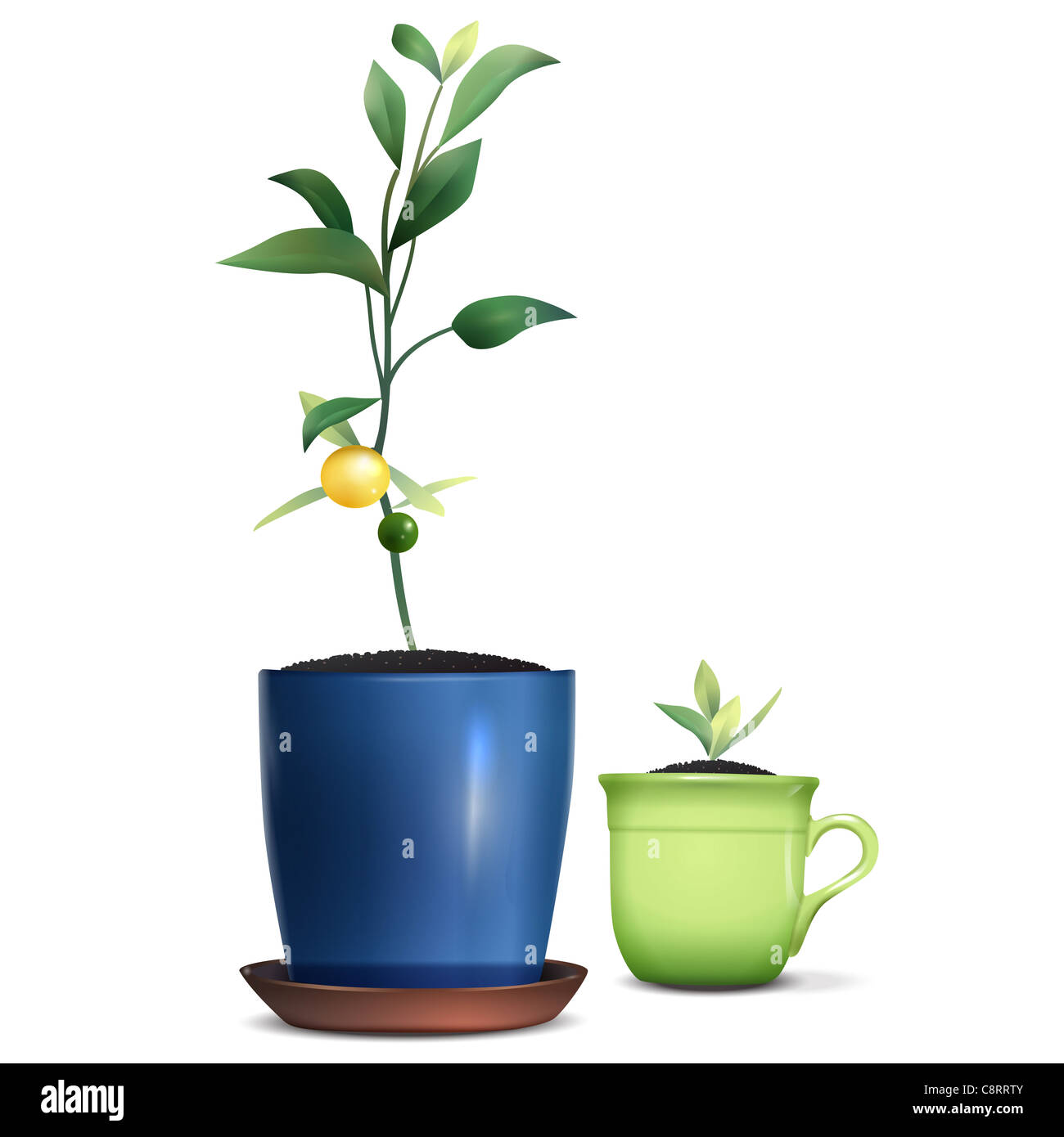 Square potted plant hi-res stock photography and images - Alamy
