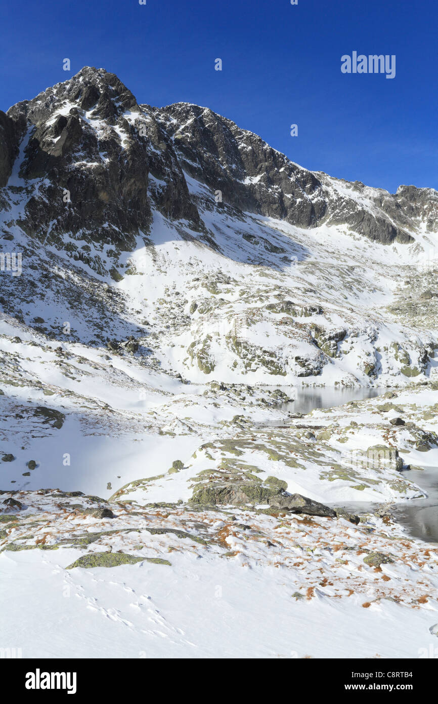 The Ladovy stit in Mala Studena dolina, High Tatras, Slovakia Stock ...