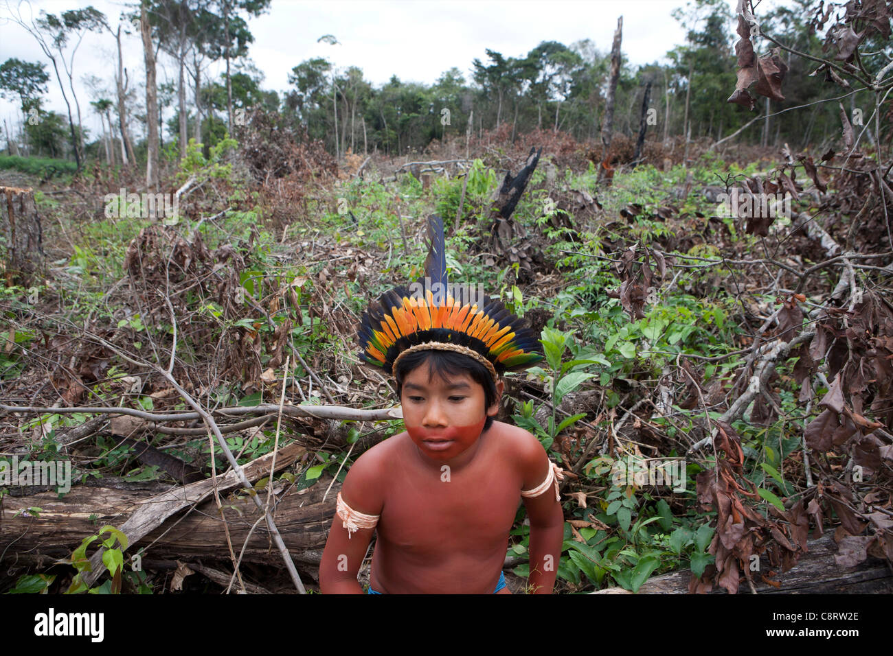 Xingu indians hunting in the Amazone, Brazil Stock Photo - Alamy