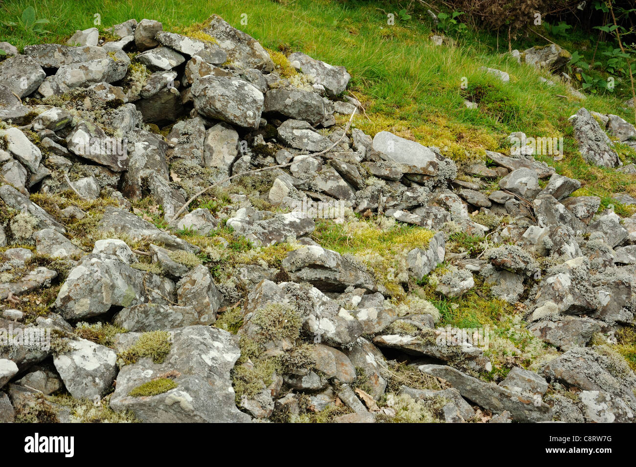 Lichen encrusted rock hi-res stock photography and images - Alamy