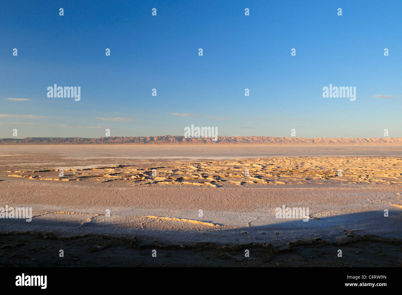 Africa, Tunisia, Chott el Jerid between Kebili and Tozeur. Salty crust ...