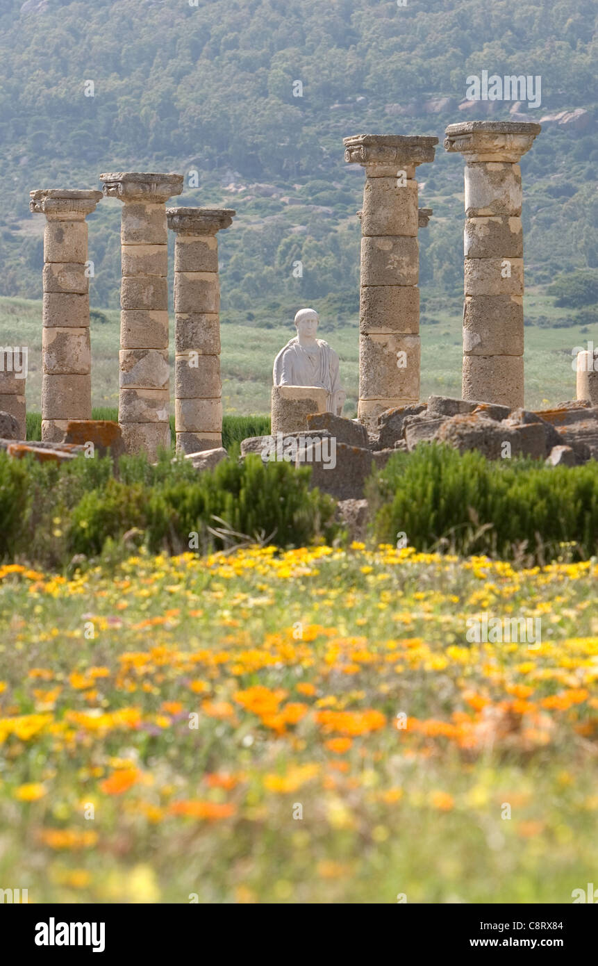 The Roman ruins at Bolonia, Andalucia, Spain Stock Photo - Alamy
