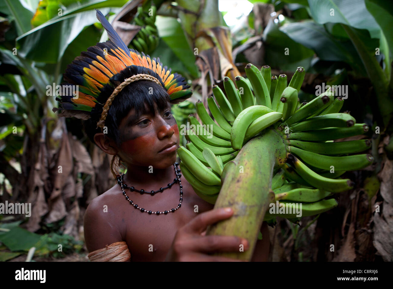 Xingu indians in the Amazone, Brazil Stock Photo - Alamy