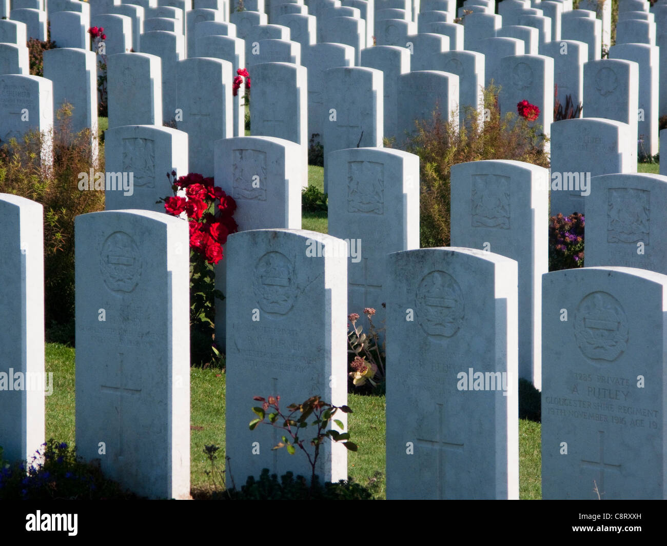 Cemetery at Flers-Courcelette, Picardy, Somme, France Stock Photo - Alamy