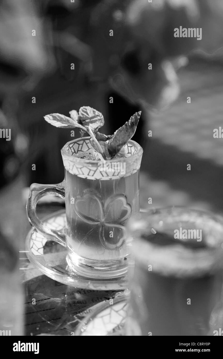 Tunisia tozeur hi-res stock photography and images - Alamy