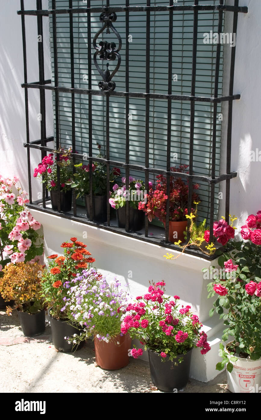 Summer flowers and wrought iron window protection, Gaucin, Andalucia ...
