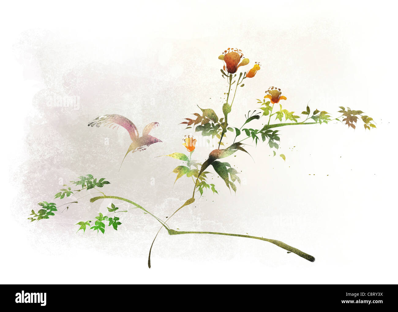 Single tree in full Cut Out Stock Images & Pictures - Alamy