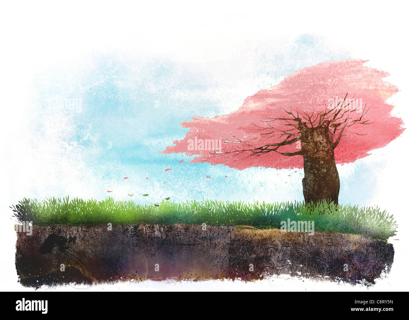 Tree green grass in Cut Out Stock Images & Pictures - Alamy