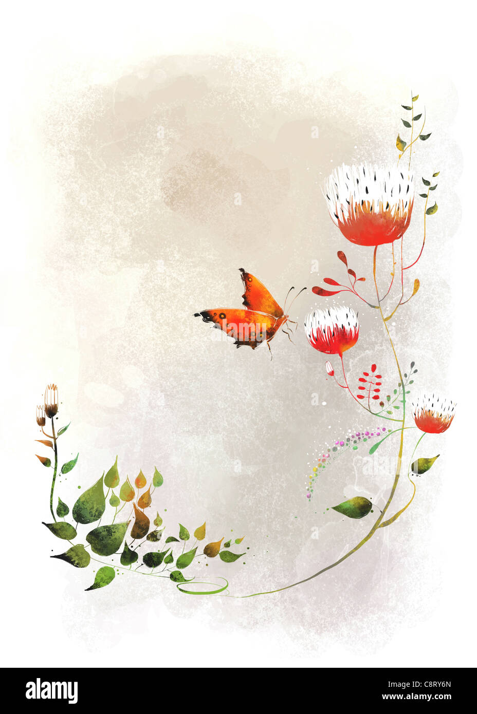 Spring flowering plants Cut Out Stock Images & Pictures - Alamy