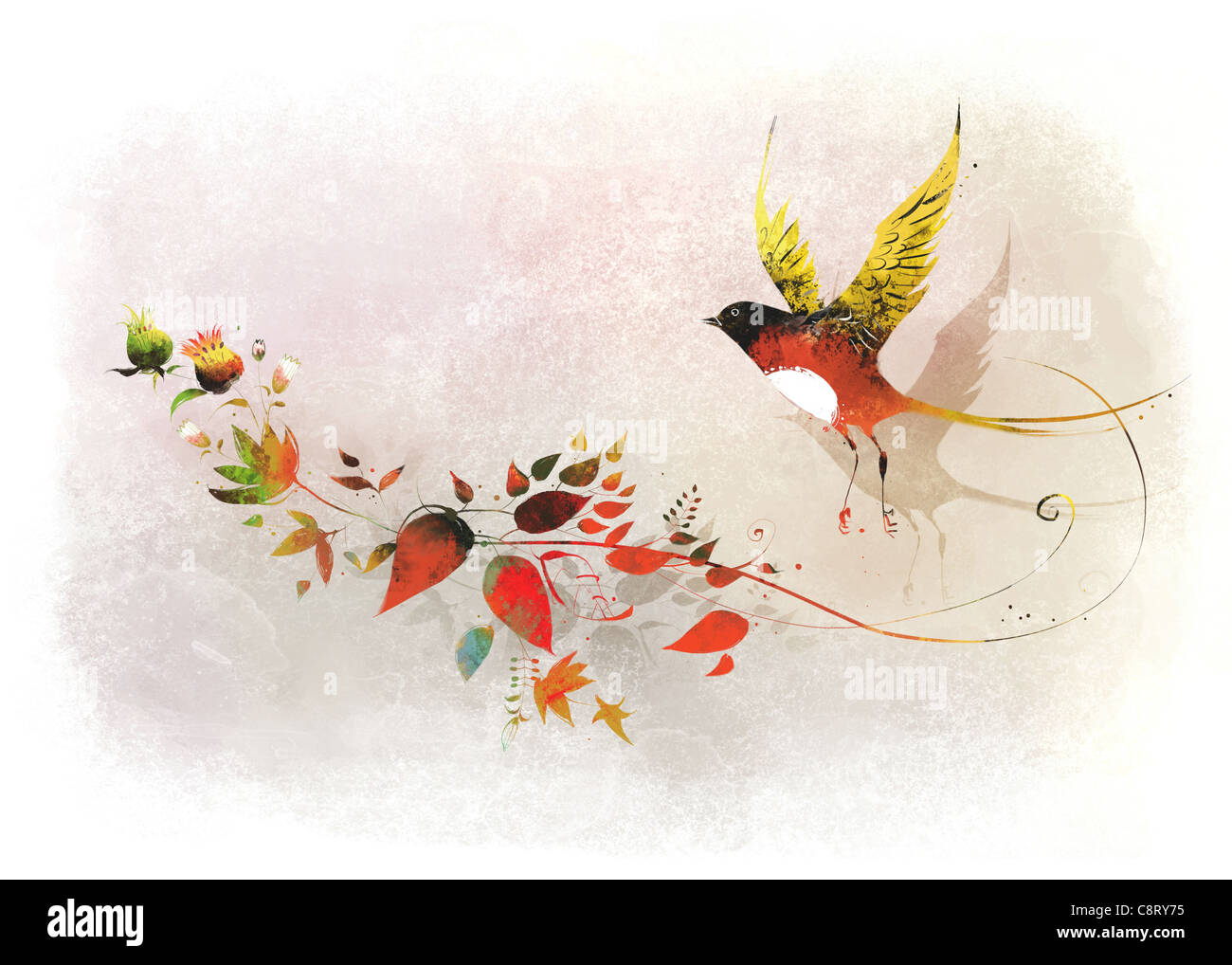 Wild flowering plants on Cut Out Stock Images & Pictures - Alamy