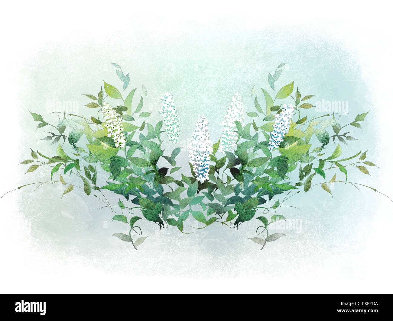 Spring flowering plants Cut Out Stock Images & Pictures - Alamy