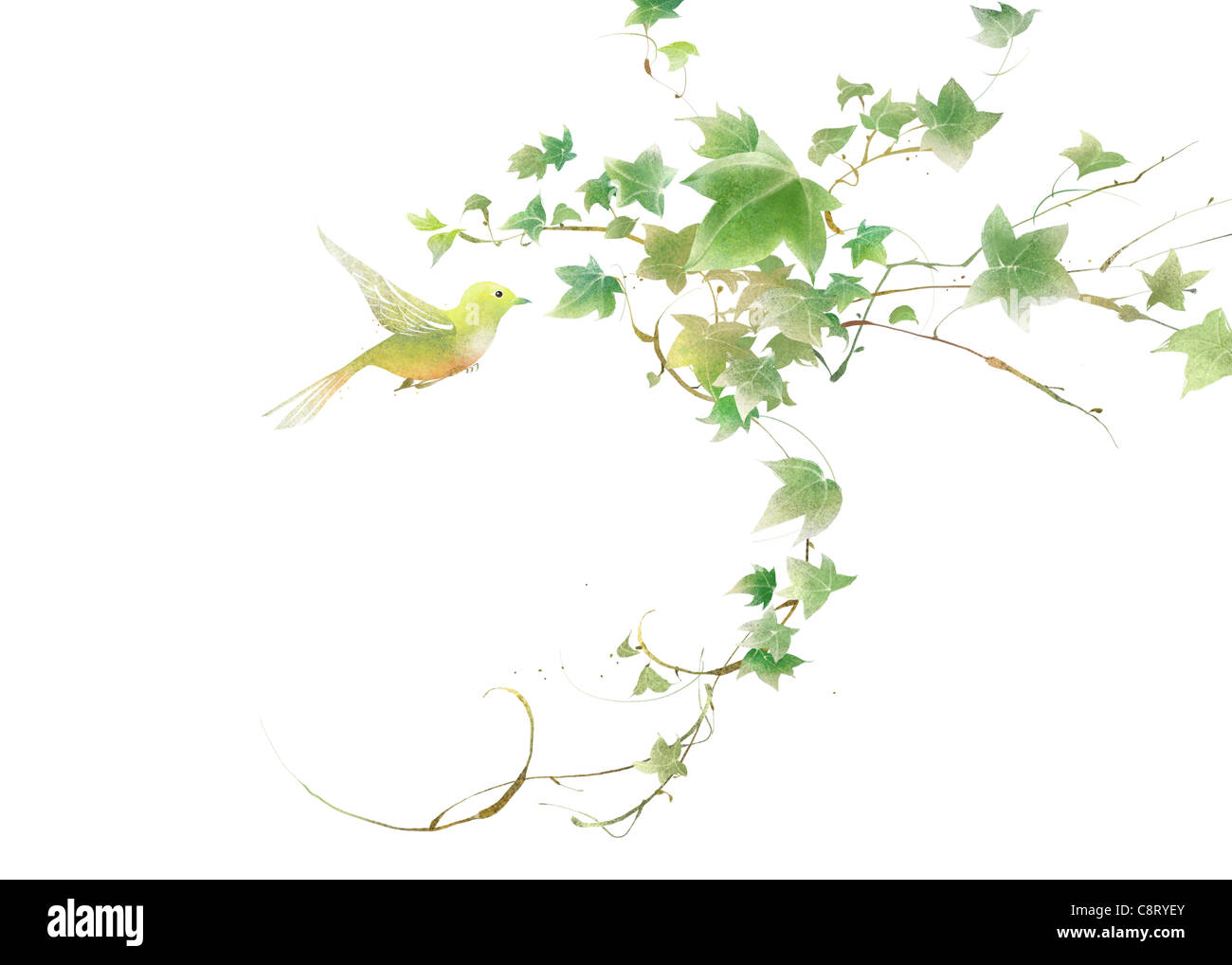 Bird Flying And Creeper Stock Photo - Alamy