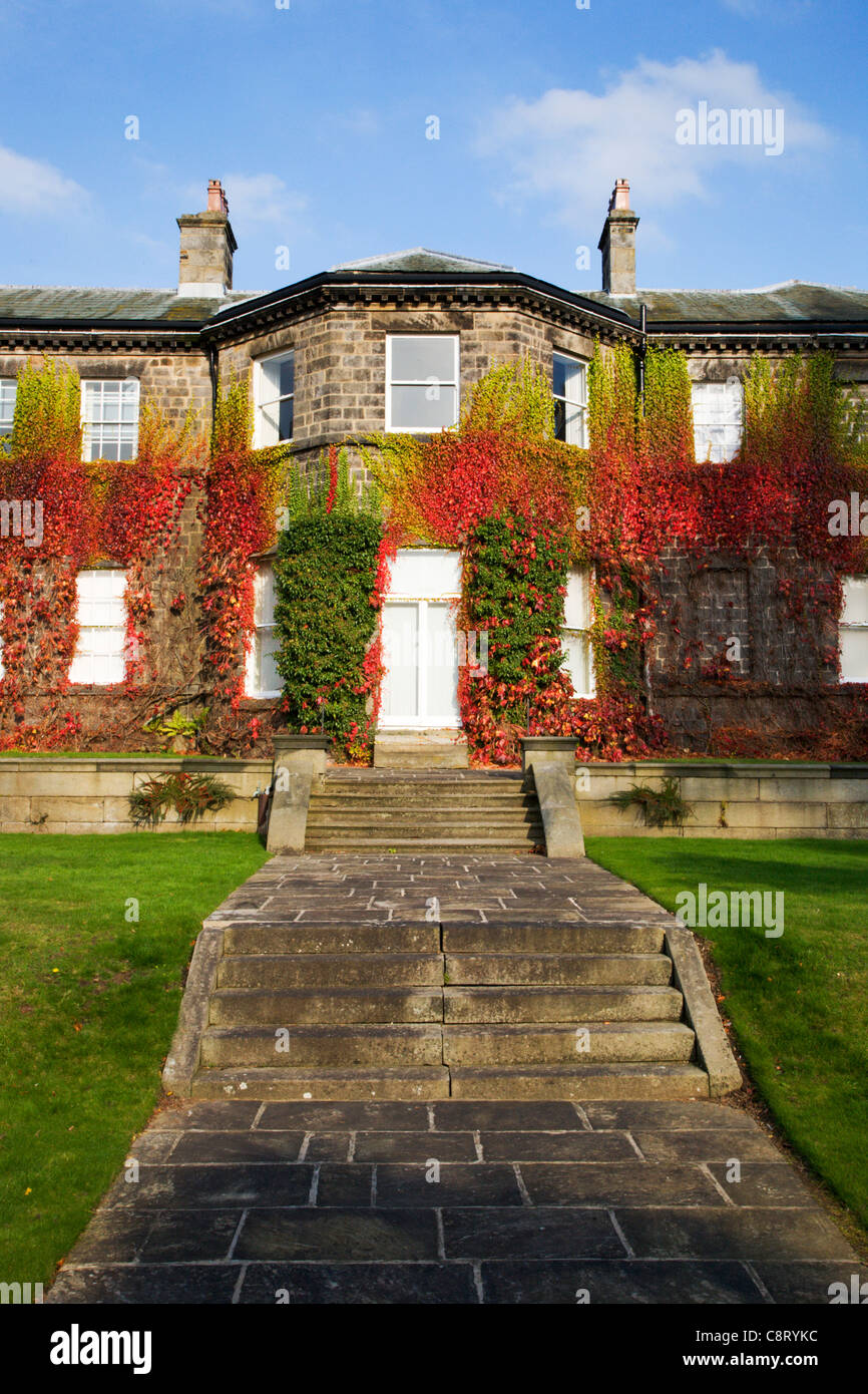 Virginia Creeper on Conyngham Hall Knaresborough North Yorkshire ...