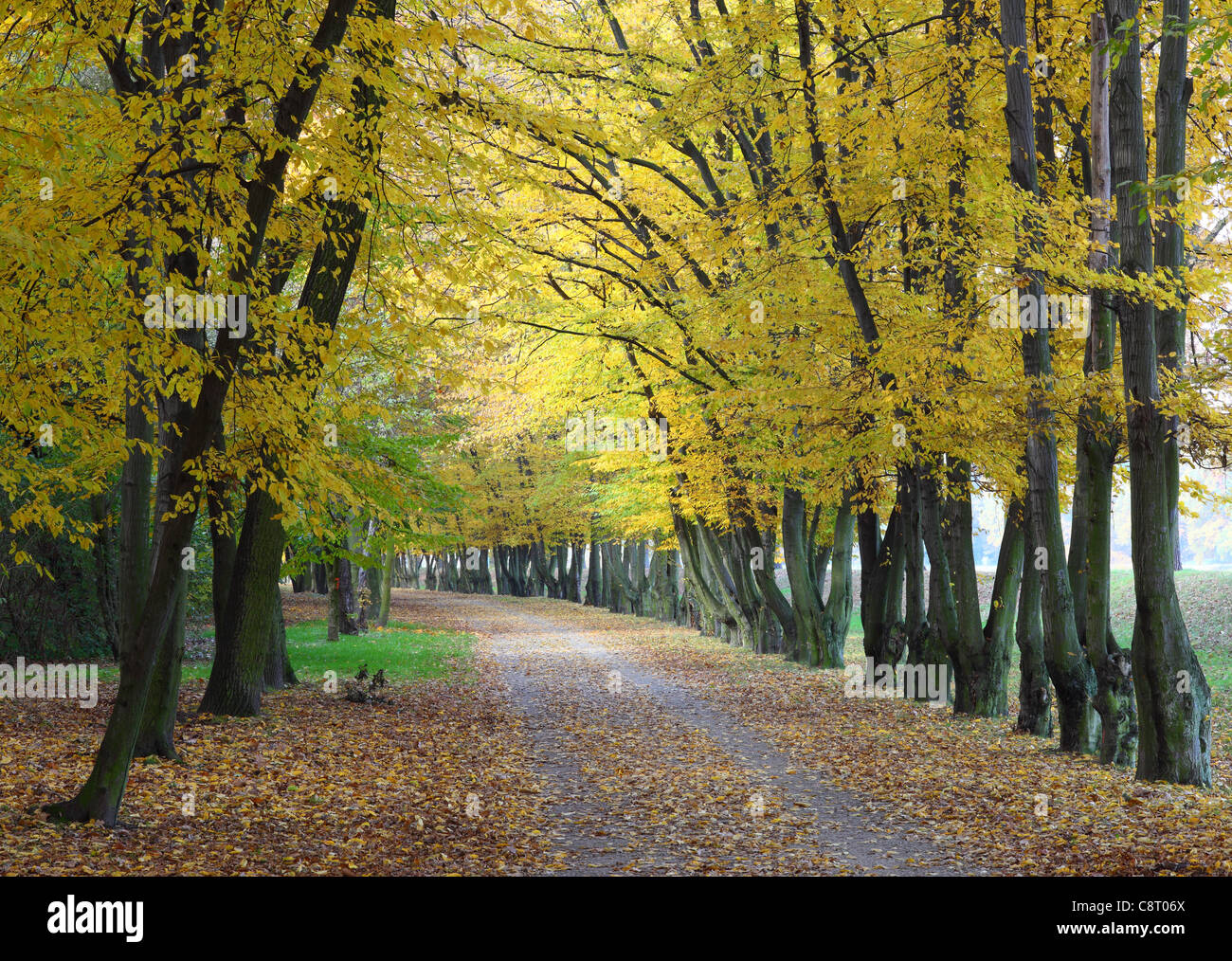 Quiet peacefull hi-res stock photography and images - Alamy