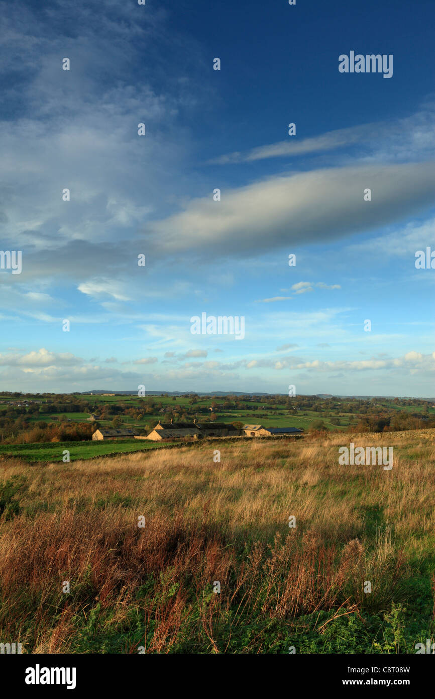 High birstwith hi-res stock photography and images - Alamy