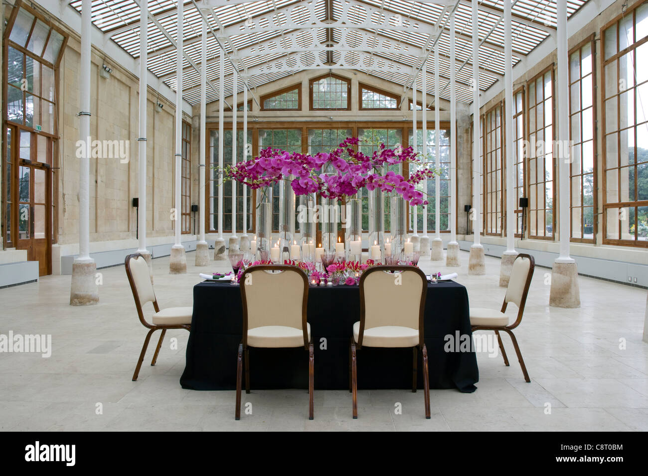 exotic orchid table decoration by Mary Jane Vaughan Stock Photo - Alamy