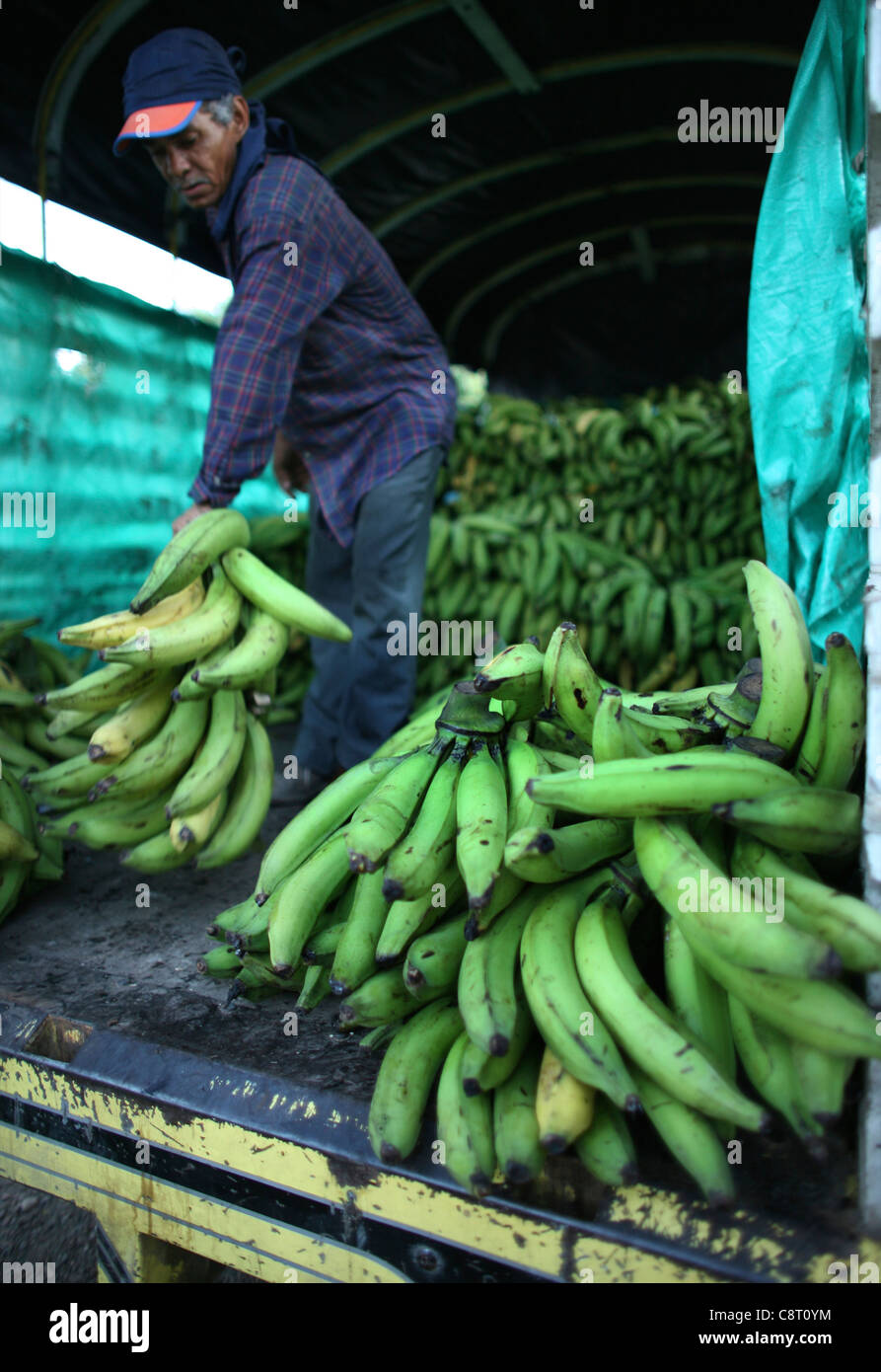 Banana shipping hi-res stock photography and images - Alamy