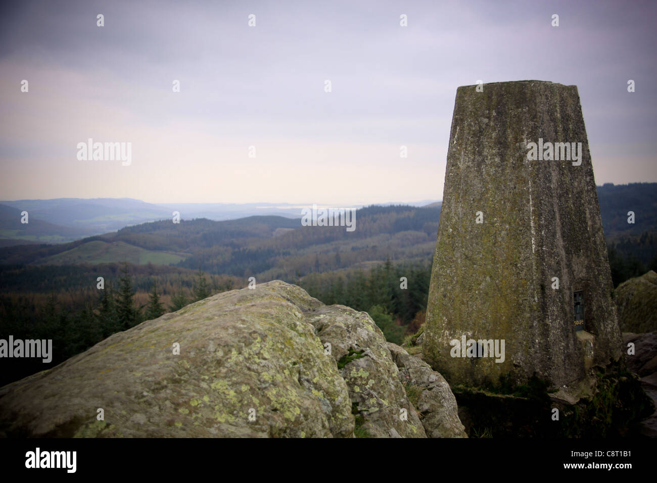 Grizedale forest park lakes hi-res stock photography and images - Alamy
