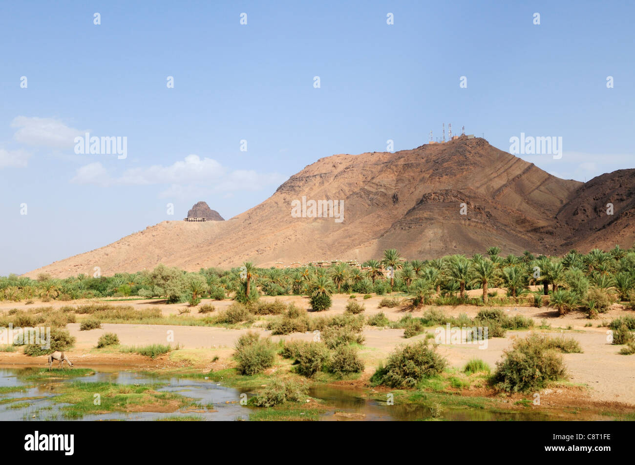 Oued draa hi-res stock photography and images - Alamy