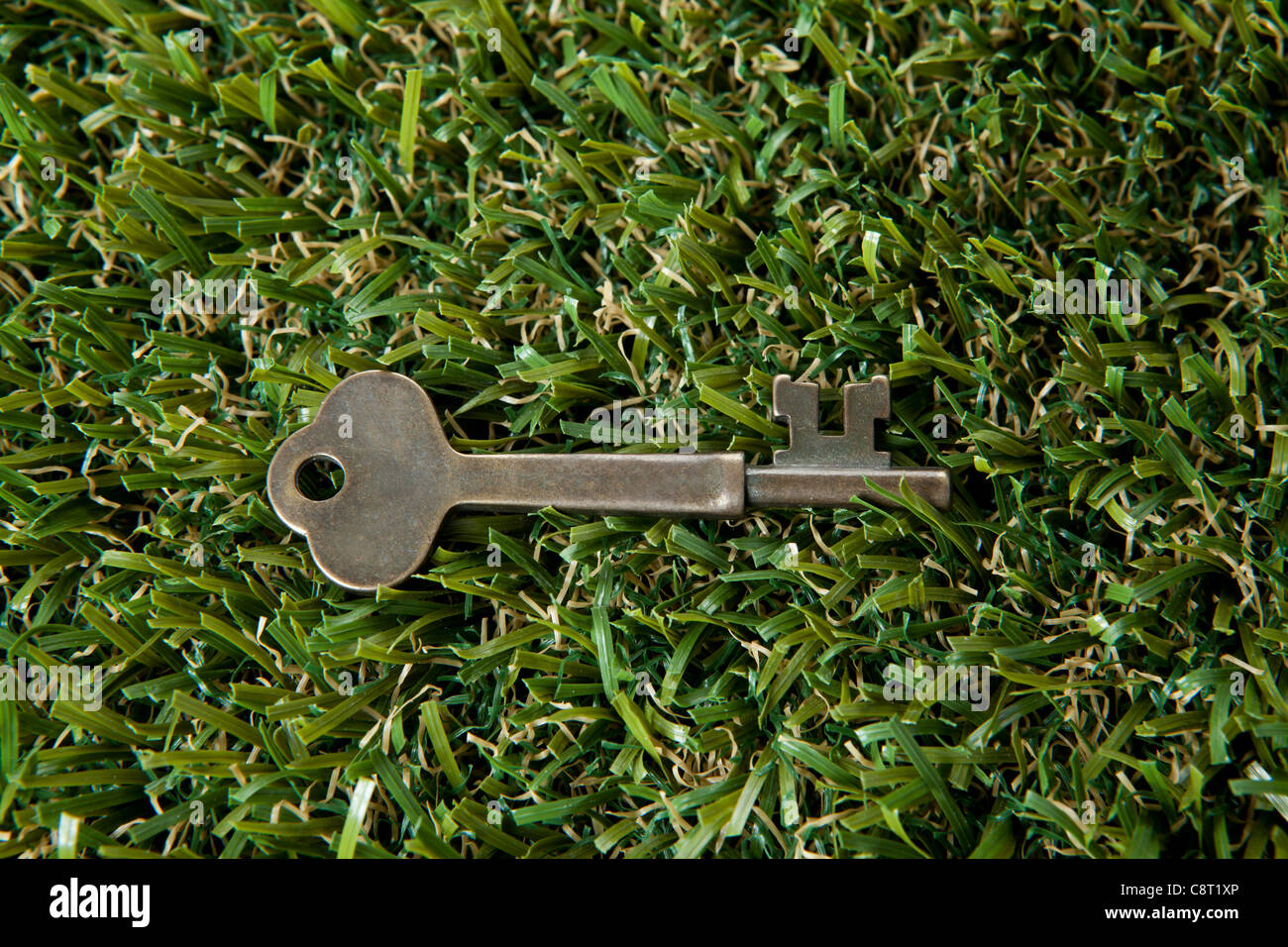 Key On The Grass Stock Photo - Alamy