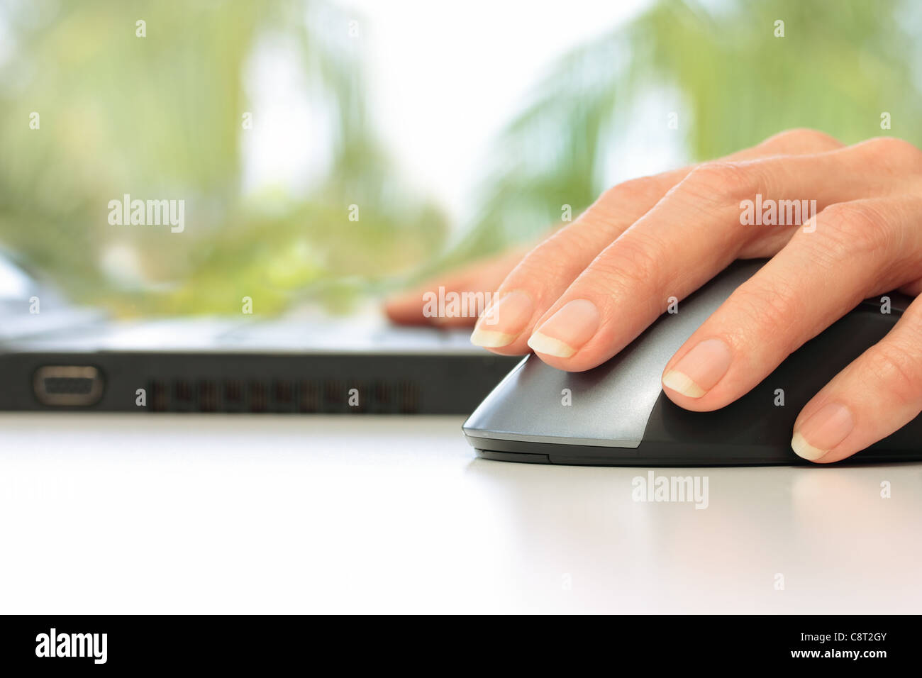 Mouse of computer hi-res stock photography and images - Alamy