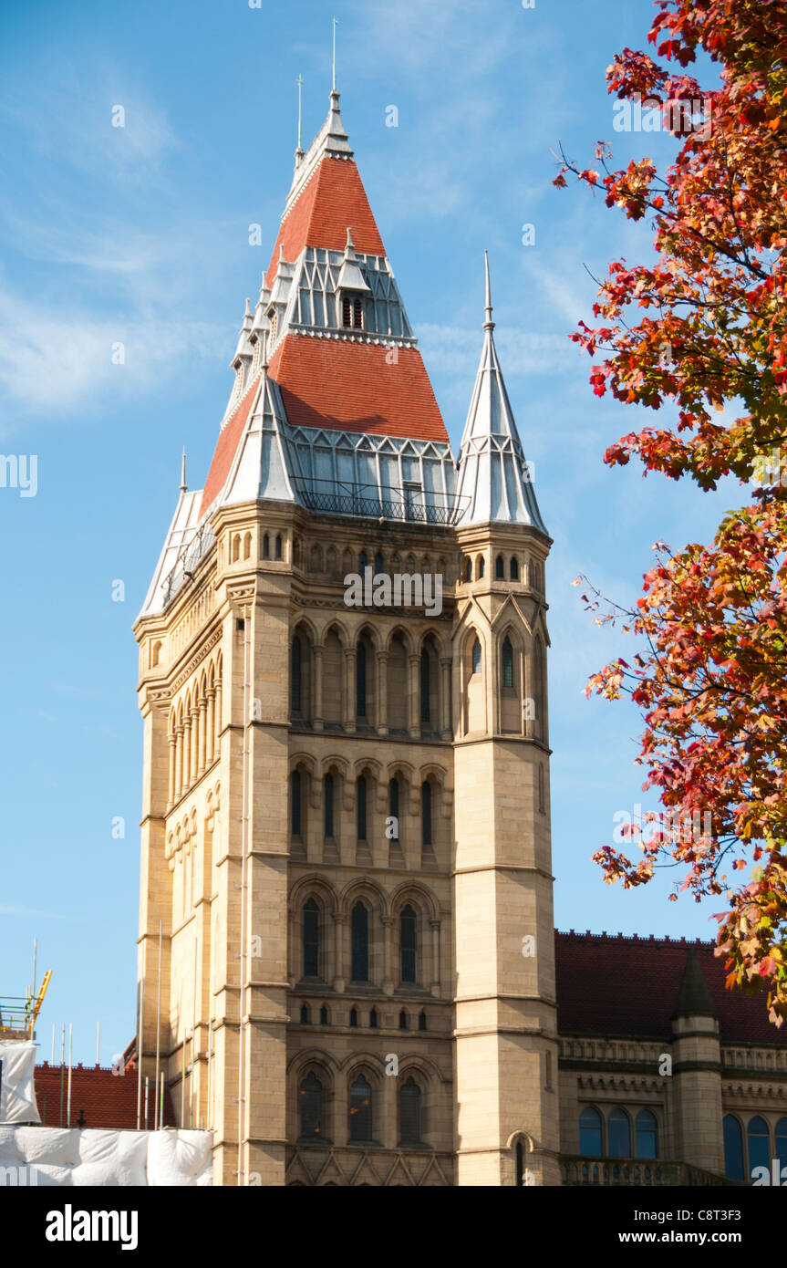 Manchester museum hi-res stock photography and images - Alamy