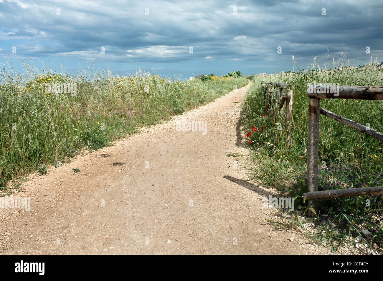 Country Road with Wooden Fence Stock Photo - Alamy