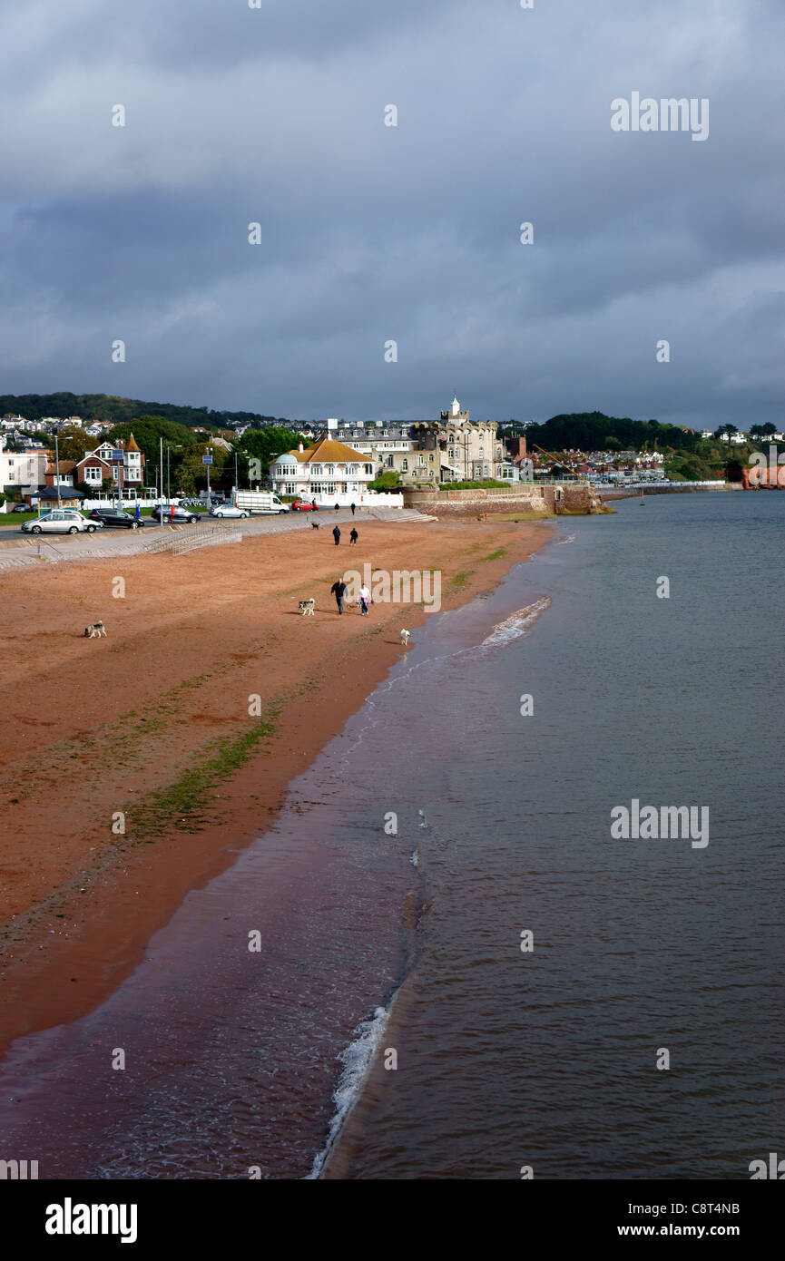 Preston paignton devon uk hi-res stock photography and images - Alamy
