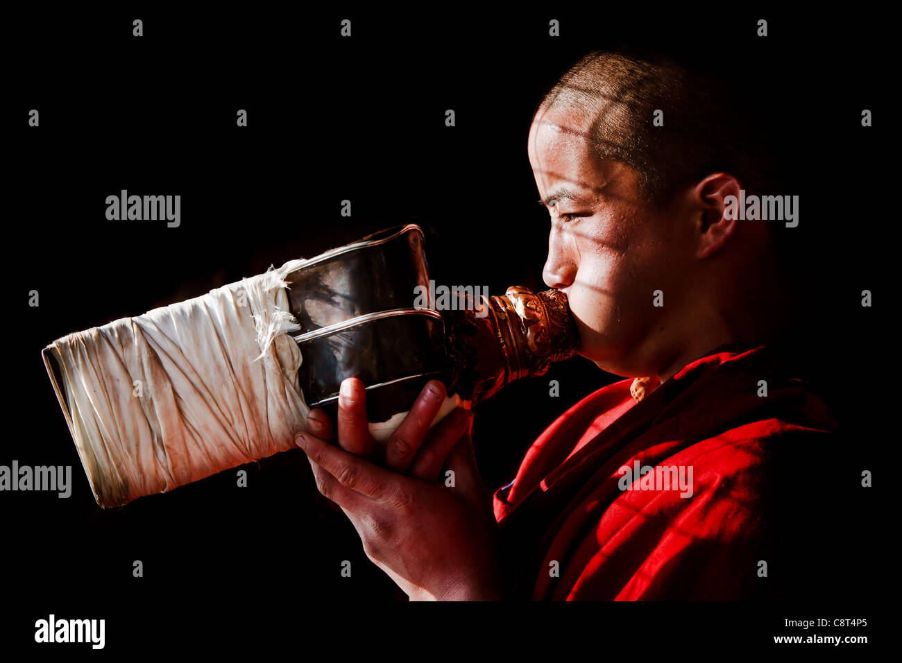 Conch shell india hi-res stock photography and images - Alamy