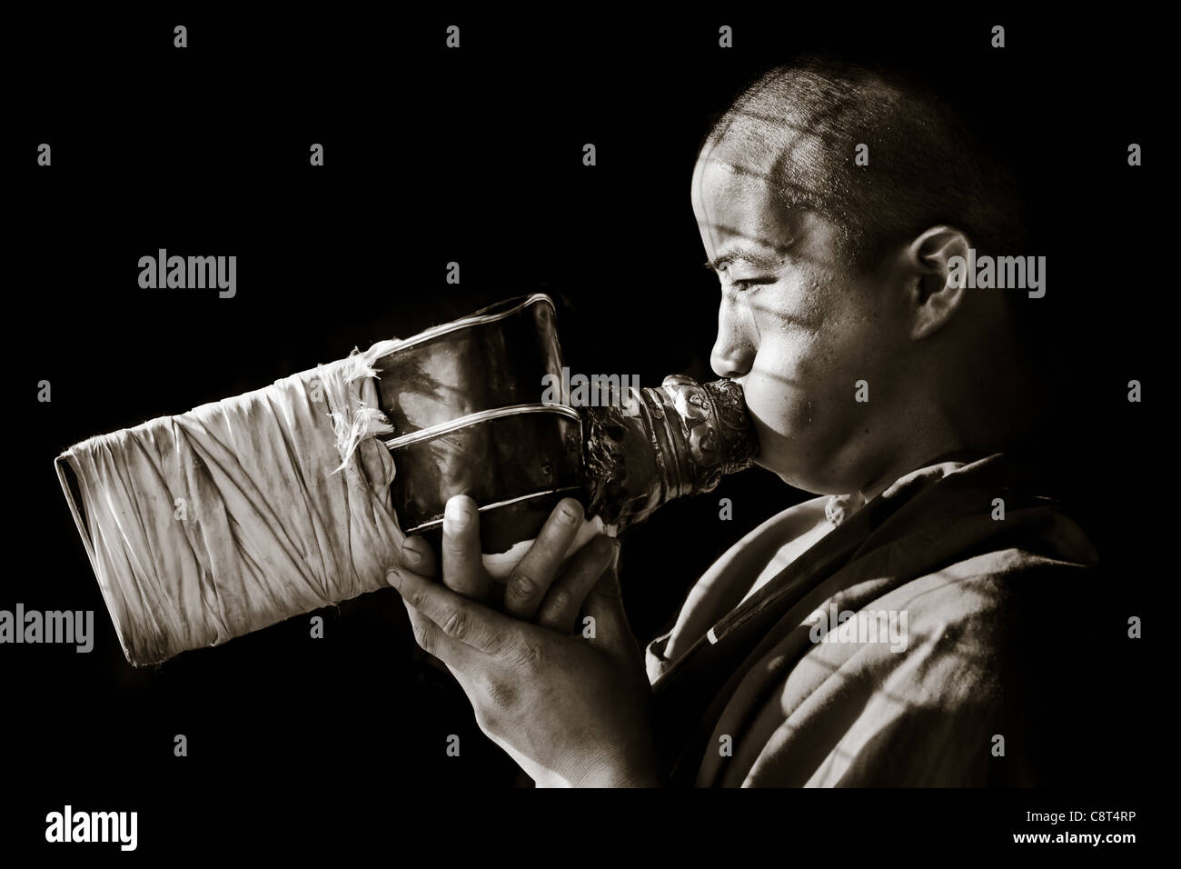 Conch shell india hi-res stock photography and images - Alamy