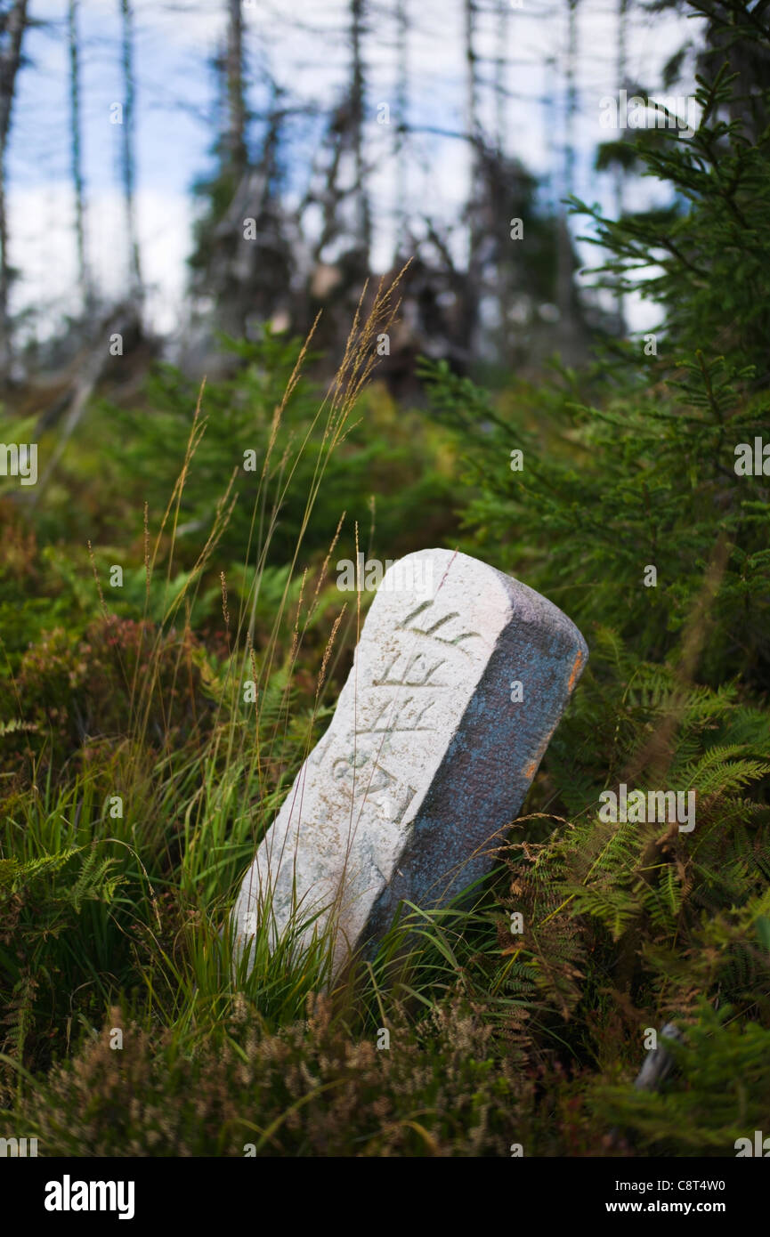 County border marker stones Hornisgrinde Northern Black Forest Baden ...