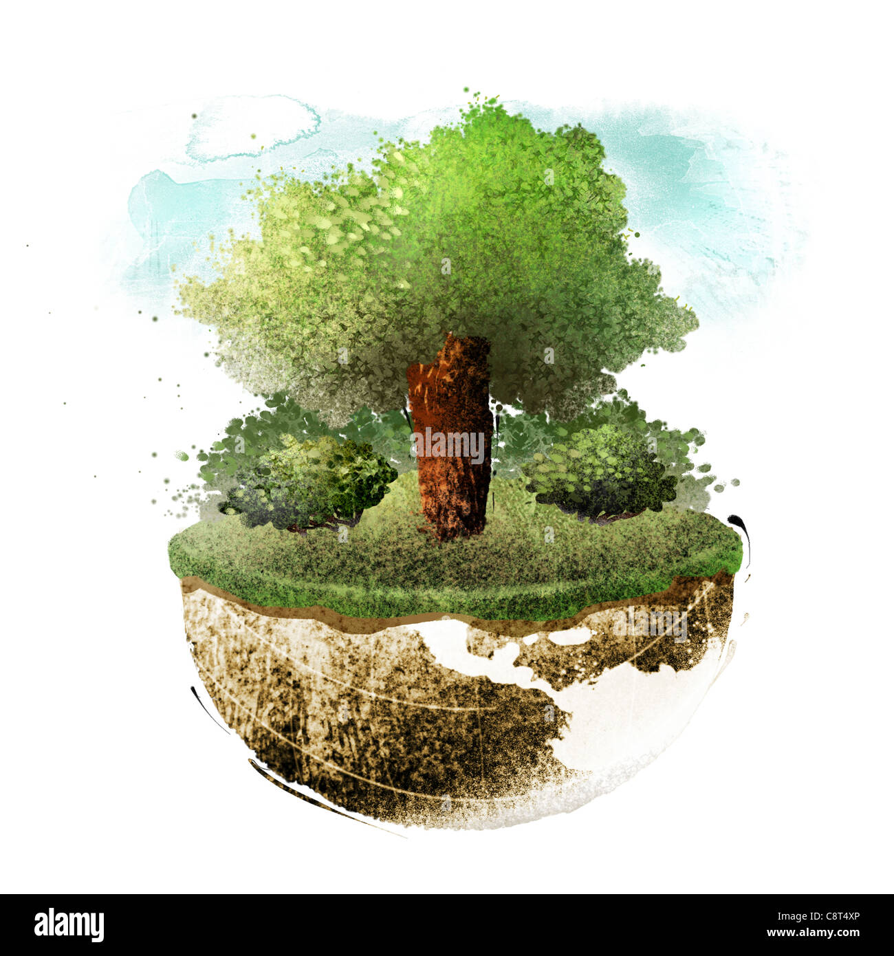 Half Human Half Tree