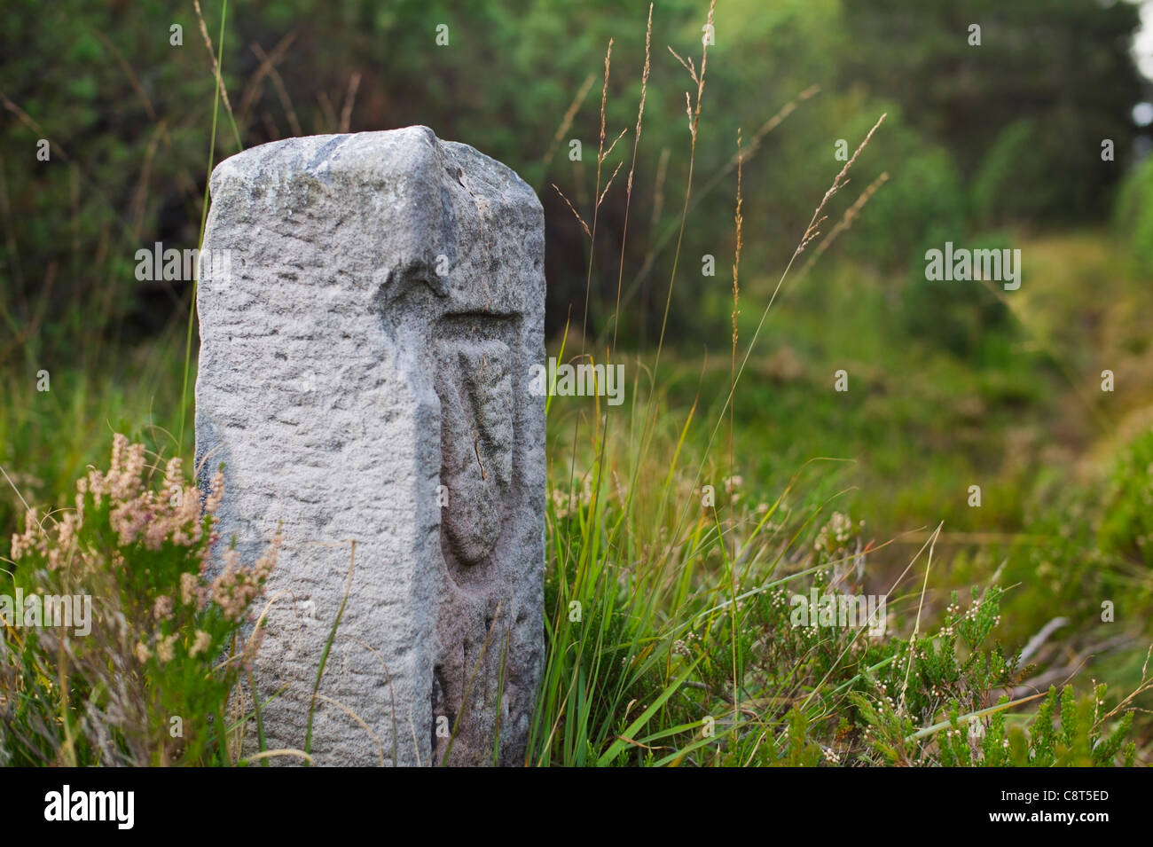 County border marker stones Hornisgrinde Northern Black Forest Baden ...