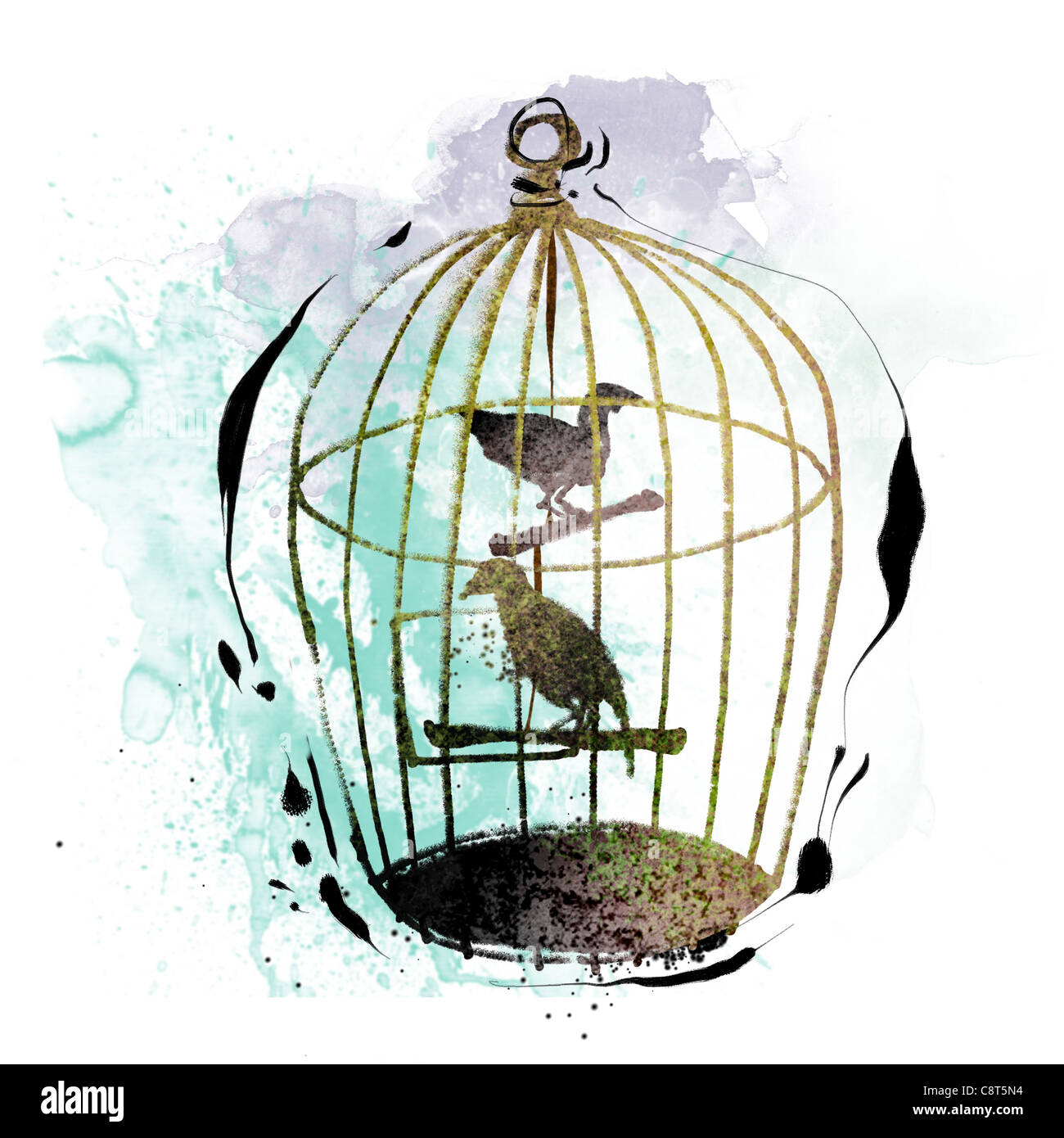 Bird in cage animal Cut Out Stock Images & Pictures - Alamy