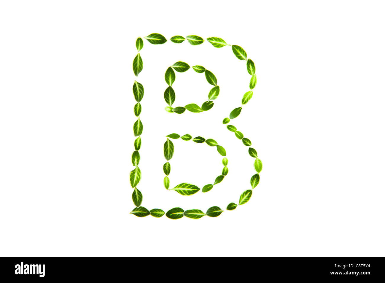 Alphabet B Drawn With Leafs Stock Photo - Alamy