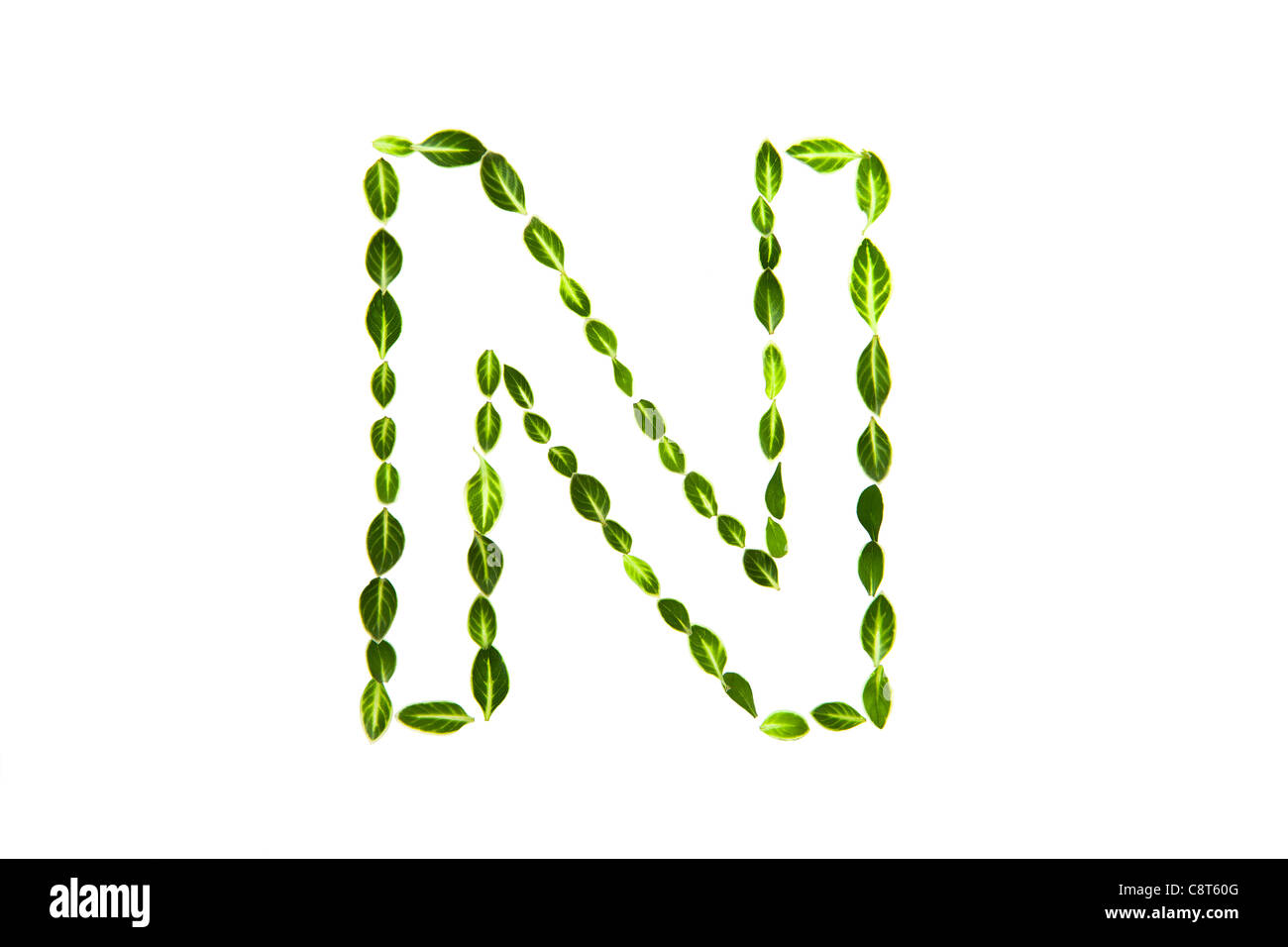 Alphabet n hi-res stock photography and images - Alamy