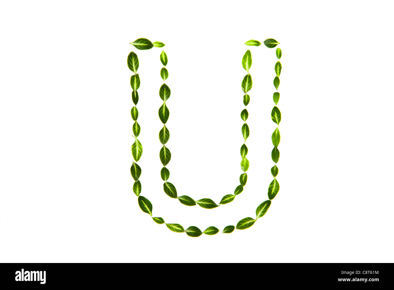 Alphabet U Drawn With Leafs Stock Photo - Alamy