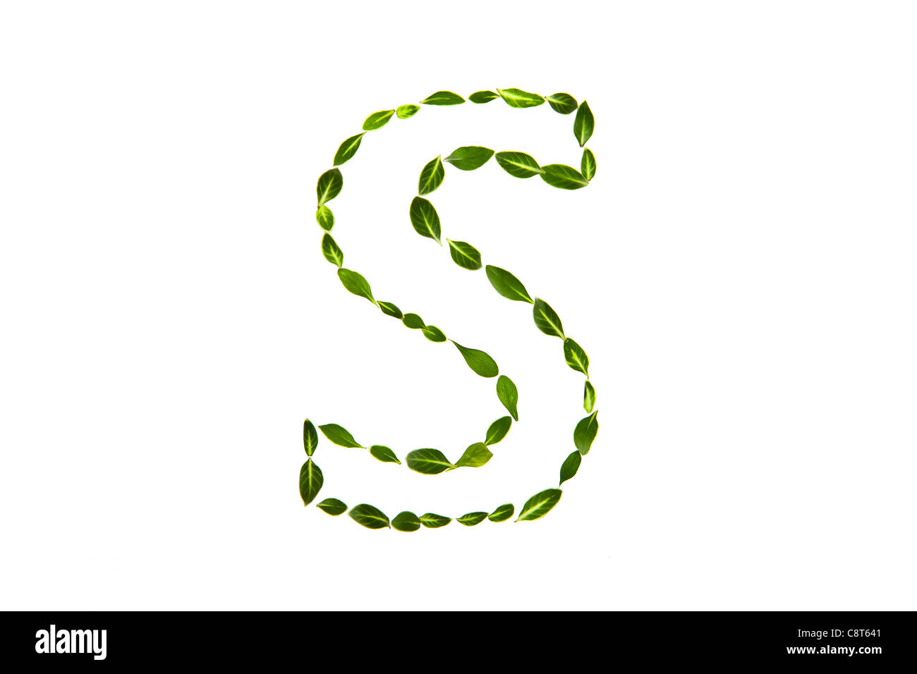Alphabet S Drawn With Leafs Stock Photo - Alamy