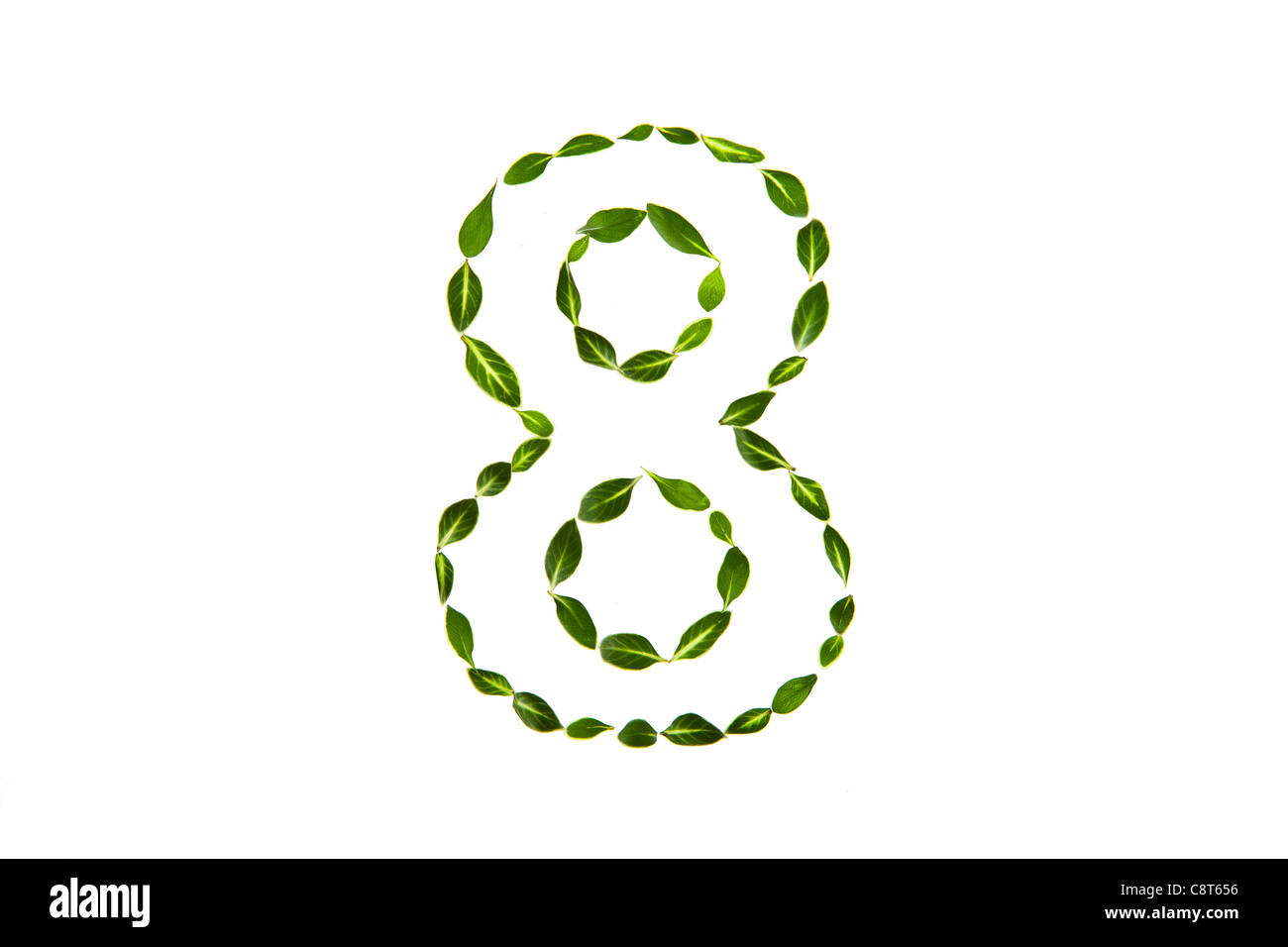 Number 8 Drawn With Leafs Stock Photo - Alamy