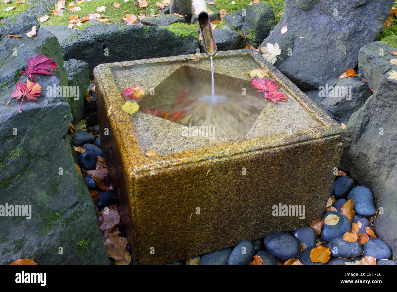 Japanese Bamboo Fountain with Stone Basin in the Fall Stock Photo - Alamy