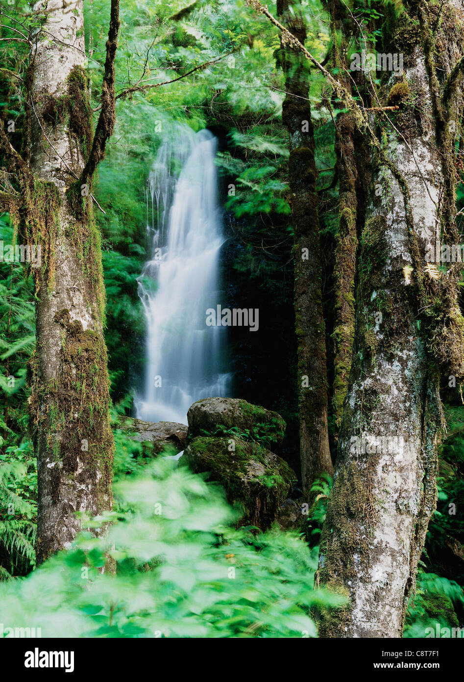 Merriman waterfall hi-res stock photography and images - Alamy