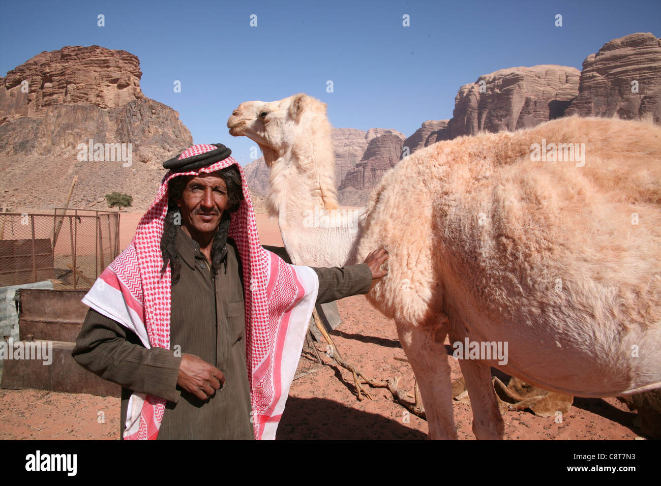 Bedouin in Jordan Stock Photo - Alamy