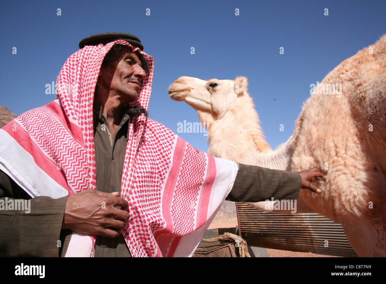 Bedouin in Jordan Stock Photo - Alamy