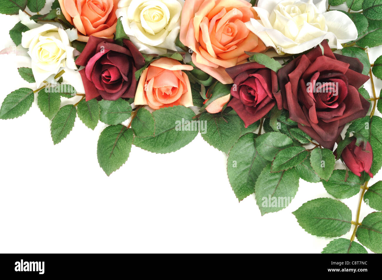 Framework from colorful roses, isolated on white Stock Photo - Alamy