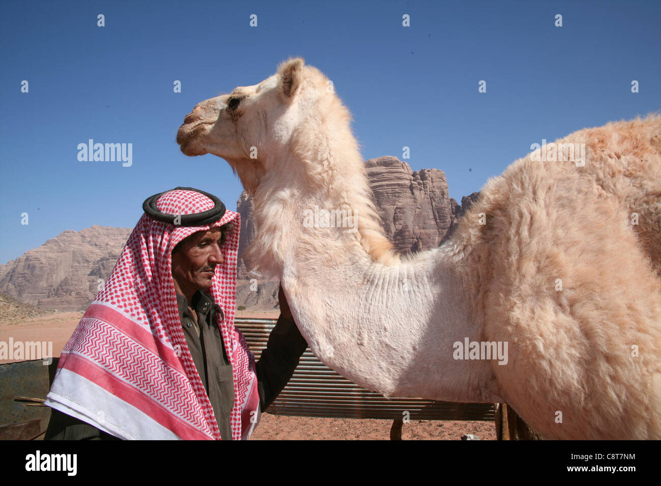 Bedouin in Jordan Stock Photo - Alamy