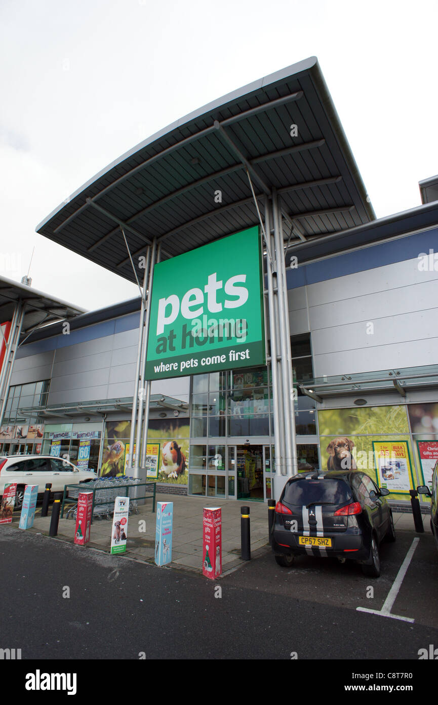 Pets at home fish hi-res stock photography and images - Alamy